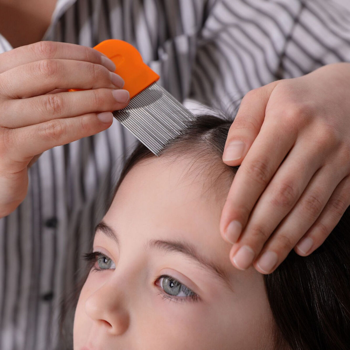 SCHOOLTIME® Reusable Metal Lice & Nit Comb for Best Results