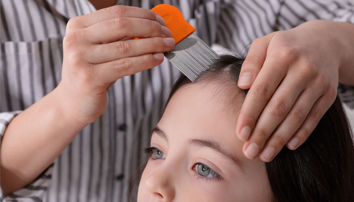 SCHOOLTIME® Reusable Metal Lice & Nit Comb for Best Results